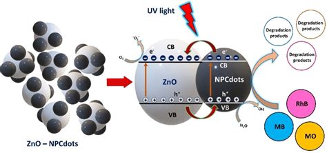 A Nanocomposite Of Zno And N P‐co‐doped Carbon Dots For The