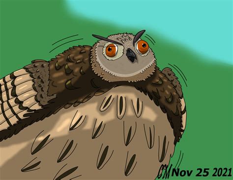 Shrek Owl Inflation Update By Fatthoron On Deviantart