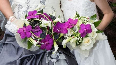 Albania Sees First Same Sex Religious Marriage As Lgbt Couple Challenge