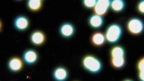 The Avoidance Complex Cat Rap Youtube