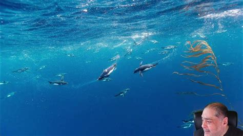 Smartbear Testcomplete Working With Git Repositories Youtube