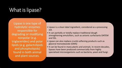 Enzyme Function And Propertiespptx