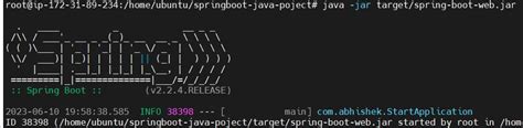 github adrydry execute a spring boot application