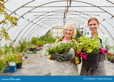 équipe De Jardinier Avec Stagiaire Sur Commande De Fleurs Image Stock