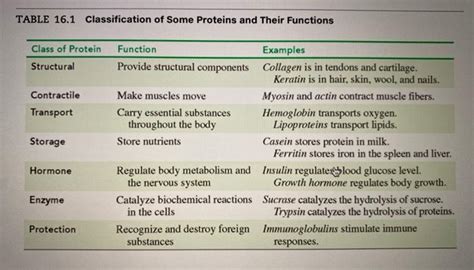 solved table 16 1 classification of some proteins and their