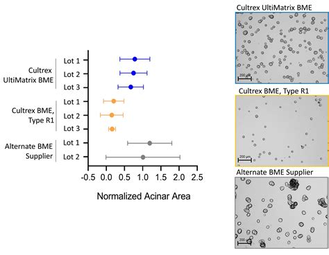 Cultrex Ultimatrix Reduced Growth Factor Basement Membrane Extract