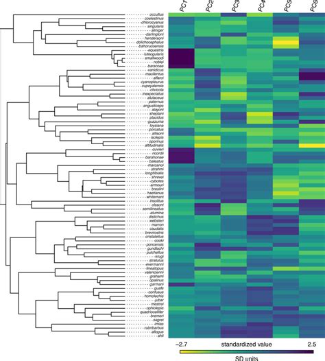 Phytools 20 An Updated R Ecosystem For Phylogenetic Comparative