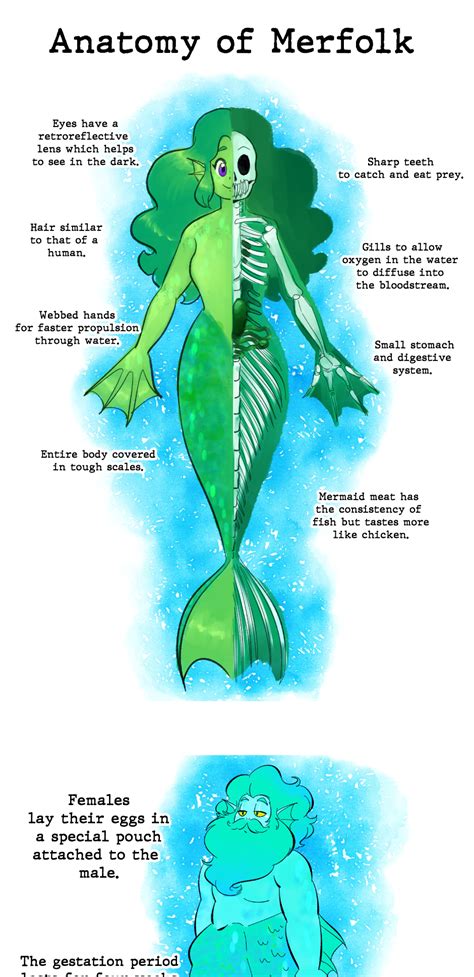 Read Briony Deep Anatomy Of Merfolk Tapas Community