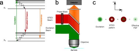 Figure 1 2 From Direct Stochastic Optical Reconstruction Microscopy Dstorm Imaging Of Cellular