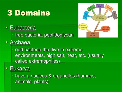 Classification Of Microorganisms Ppt Download