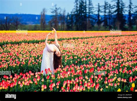 Long Haired Brunette Bending Over Backwards In Vast Tulip Field Stock Photo Alamy
