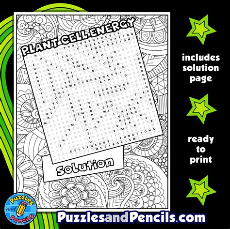 Plant Cell Coloring Answer Key Biology