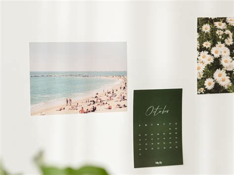 Class101 일상에 특별함을 더하는 감성 사진 놀이 And 보정