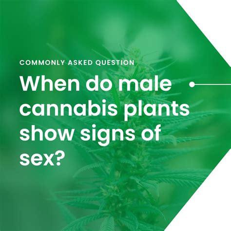 Medicinal Genomics On Linkedin Our Latest Blog Explores The Visual