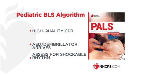 Pediatric Advanced Life Support Pals Bls Algorithm