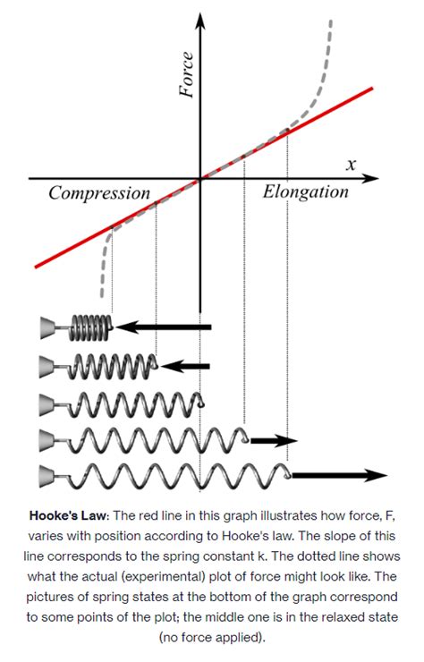 Hookes Law Graph Calculator At Kimberly Obrien Blog