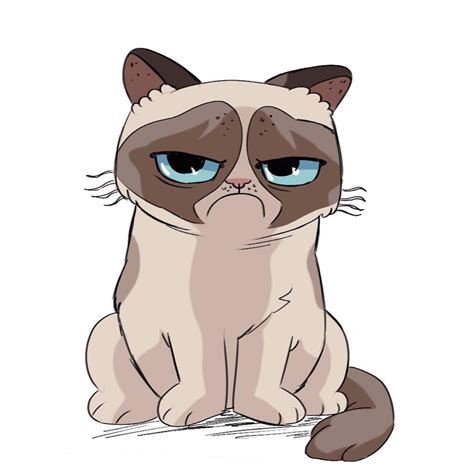 Grumpy Cat Realgrumpycat Grumpy Cat Cartoon Grumpy Cat Art Cat