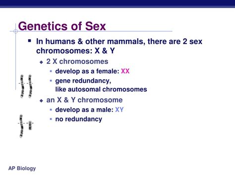 PPT Beyond Mendels Laws Of Inheritance PowerPoint Presentation Free Download ID 3407786