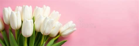 Mass Flower Stock Illustrations 1620 Mass Flower Stock Illustrations