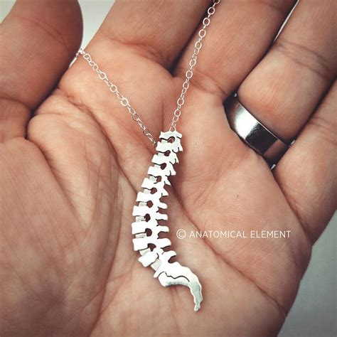 Anatomical Jewelry Illustrations And Other Goodies By Anatomicalelement