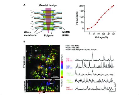 A Design And Axial Scanning Range Of µtlens A Nanotech Micro Tunable Download Scientific