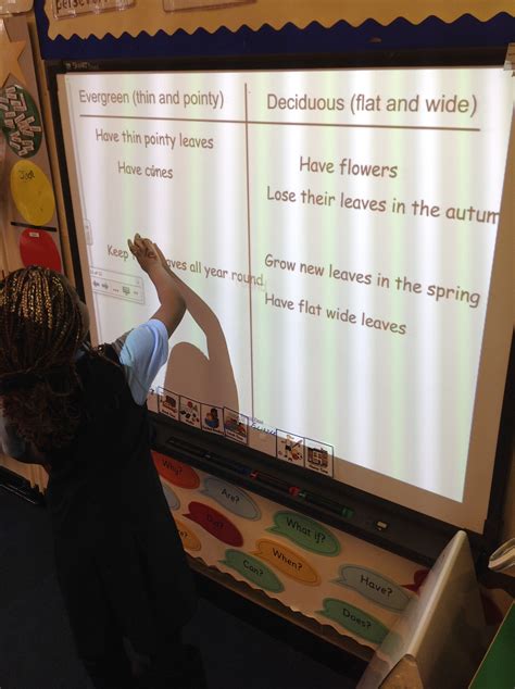 Classifying Trees In Year 1 Science 201617 North Fawdon