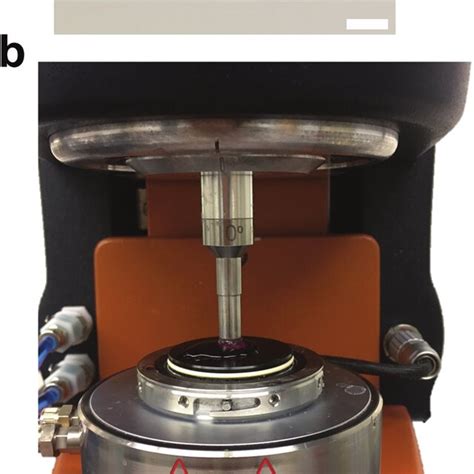 Experimental Setup A Ionically Ca 2 Cross Linked Ada Gel Hydrogel