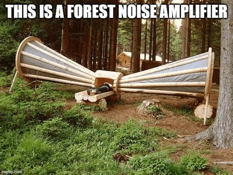 Forestry Memes Forestry Memes