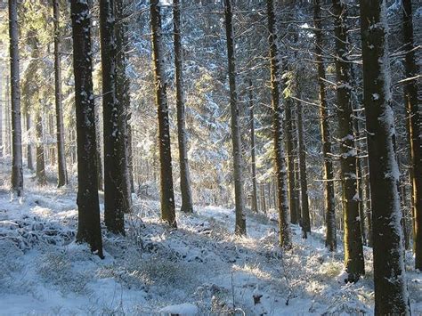 How To Transform Data To Better Fit The Normal Distribution