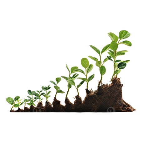 성장 스킬 업 3d 그림 3d 렌더링 이동하는 Png 일러스트 및 이미지 에 대한 무료 다운로드 Pngtree