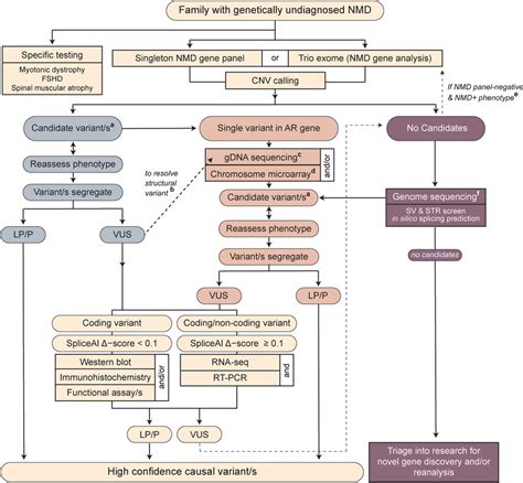 Proposed Diagnostic Algorithm For Neuromuscular Disorders Our Download Scientific Diagram