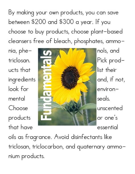 Green Cleaning Intro Green Cleaning Go Green Cleaning Chemicals