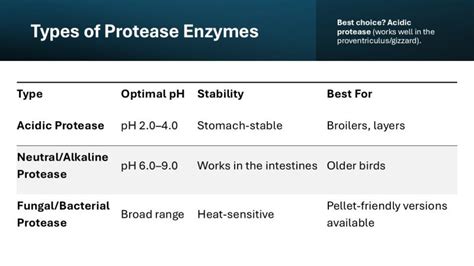 Protease Enzyme In Poultry Feeding Dradel Eid Phd Dba