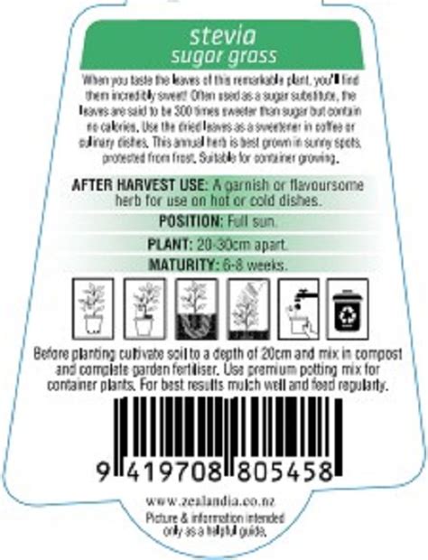 Stevia Sugar Grass Zealandia Horticulture