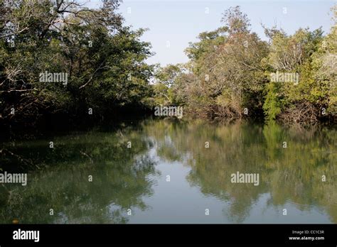 La Rivière Kafubu République Démocratique Du Congo Photo Stock Alamy