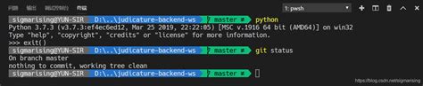 美化 powershell pwsh csdn博客