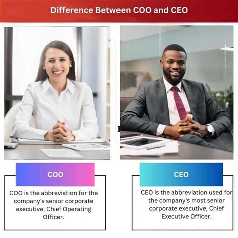 COO Vs CEO Perbedaan Dan Perbandingan