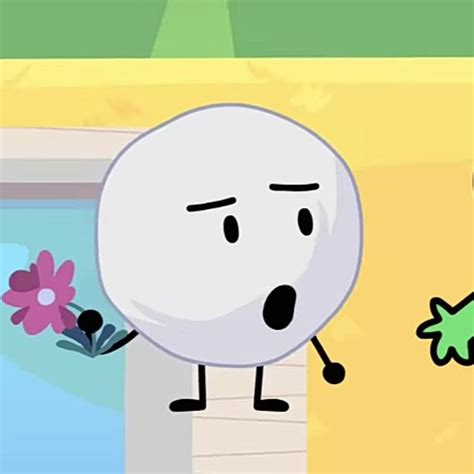 Snowball Bfdi