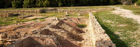 Tours Y Actividades En Nabeul Explora Túnez De Manera única Civitatis