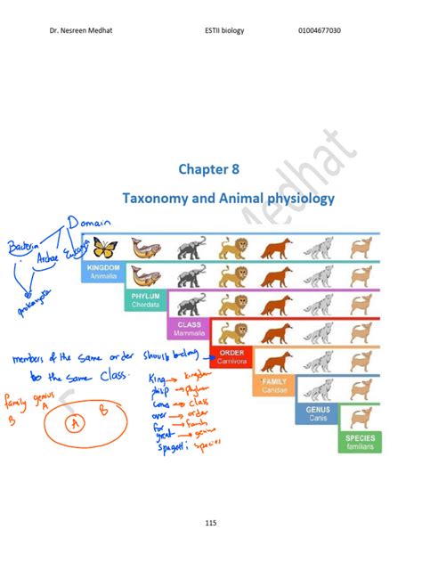 Taxonomy Book Pdf