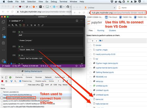 Accessing MyBinder Kernels Remotely From IPython Magic And From VS Code OUseful Info The Blog