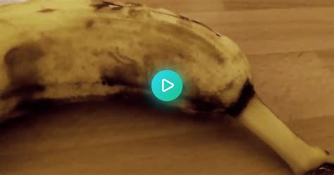 Must Be An Australian Scale  On Imgur