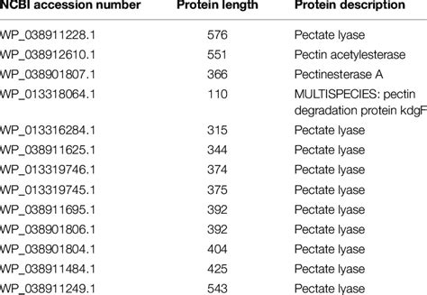 Pectin Degradation Related Enzymes Produced By Dickeya Dadantii Dsm 18020 Download Scientific