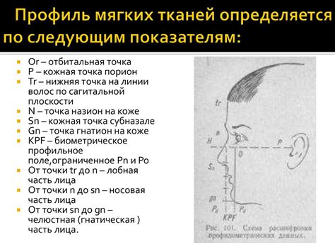 Телерентгенография - презентация онлайн