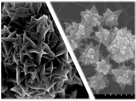 Flame Synthesis And Functional Nanomaterials Lab Research Teams