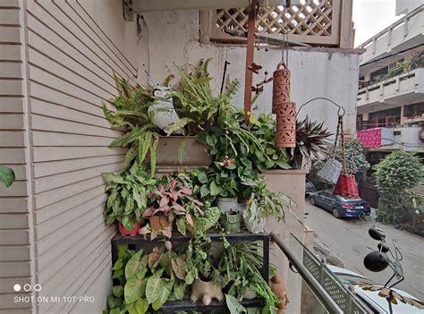 Oneplus T Vs Xiaomi Mi T Pro Similar Performance Different Approach