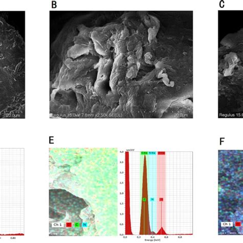 Particle Diameter Distribution A Zeta Potential B And Tem Image