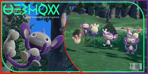 Pokemon Scarlet And Pokemon Violet How To Evolve Aipom Into Ambipom