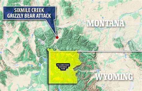Father Of Four Dead After Suspected Grizzly Bear Attack Daily Mail Online