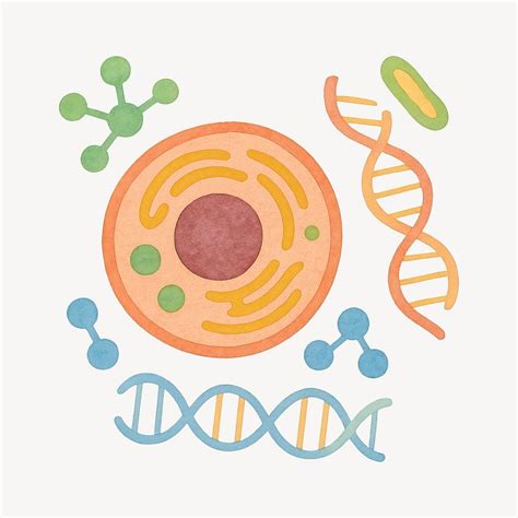 Cell Biology Cute Images Free Photos Png Stickers Wallpapers